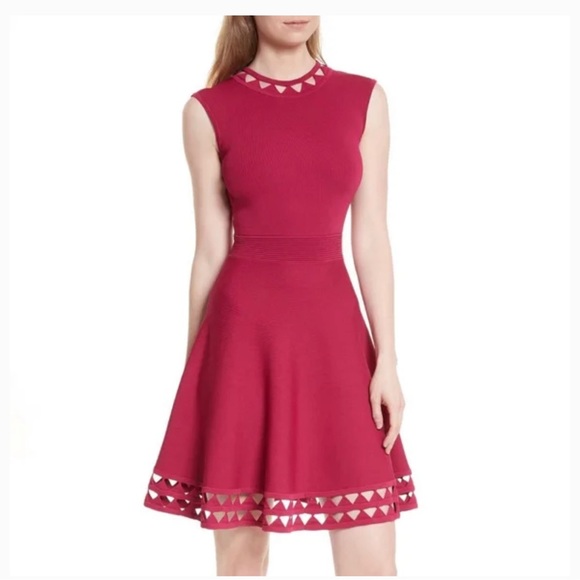 Ted Baker | Dresses | Ted Baker Kathryn Fuchsia Skater Dress Size Size ...